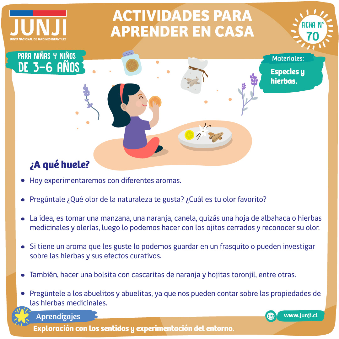 Nuevas fichas: Actividades pedagógicas para realizar en casa 3 a 6 años ...